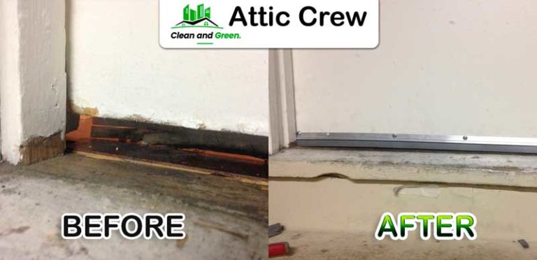 Rodent Proofing » Attic Crew